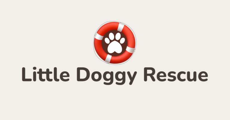 Small Dog Adoptions In Gauteng - Little Doggy Rescue